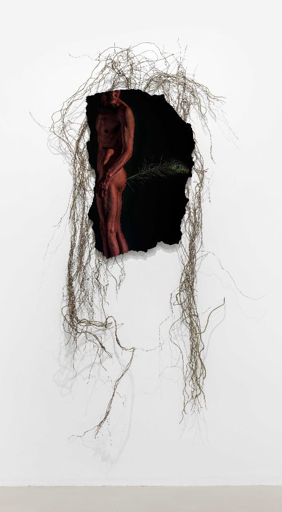 Cao Yu Works | Galerie Urs Meile